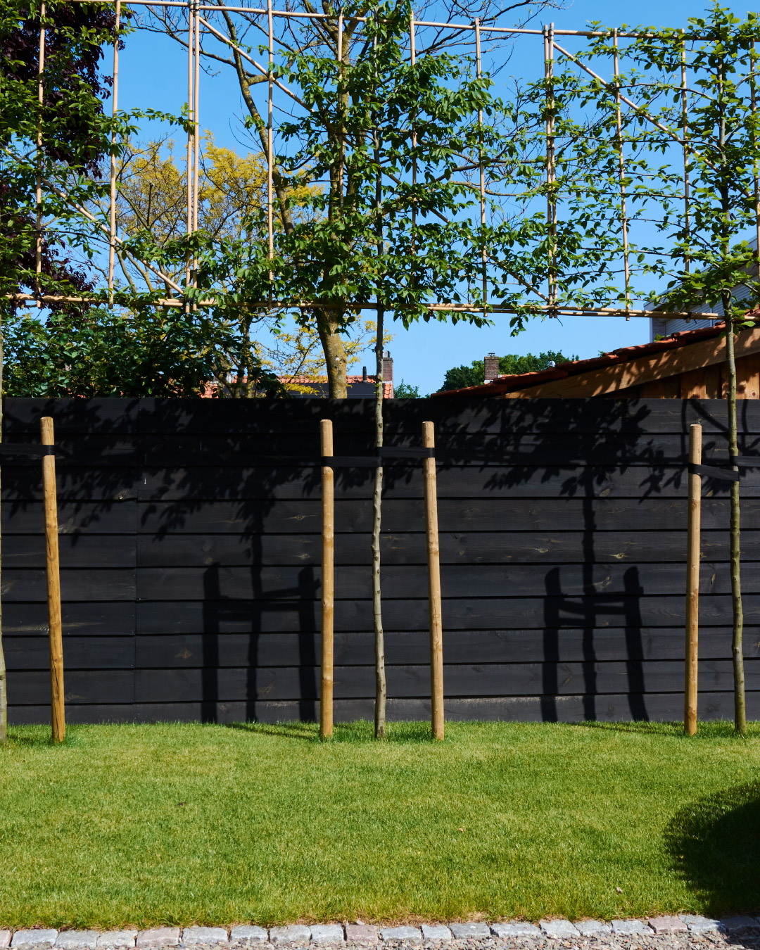 Bomen Tuincentrum REMY | Grote en kleine bomen voor tuin
